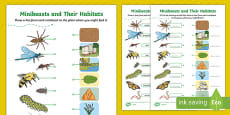 FREE! - Animals and Their Habitats Matching Activity