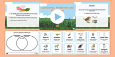 Omnivore, Carnivore or Herbivore Venn Diagram Sorting Worksheet