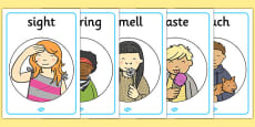 FREE! - 👉 5 Senses Display Posters For Kids