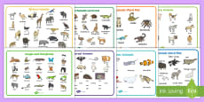 FREE! - Animals and Their Habitats Matching Activity