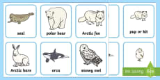 The Arctic/Polar Regions Primary Resources, arctic