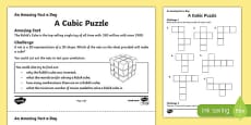 KS2 Nets of 3D Shapes Resources - 3D Shape Nets