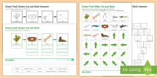 KS3 Interdependence and Food Webs Homework Worksheet / Worksheet