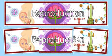 KS3 Human Reproduction Teaching Resources - Page 2