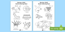 FREE! - Story Cut Outs to Support Teaching on Sharing a Shell