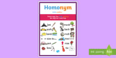 Homonym Homograph Homophone Explanation Chart - Homonym