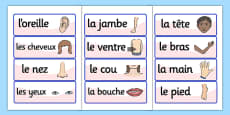 Body Parts in French PowerPoint - Language Resource - Twinkl