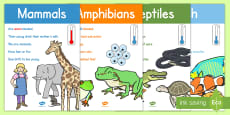 Animal Groups PowerPoint - grouping animals, animals, classifying animals