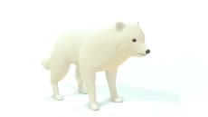 Arctic Display Photographs - arctic, display photos, photographs