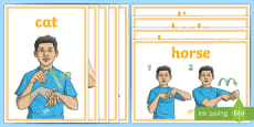 Auslan Animal Sign Cards - Australia (teacher made)