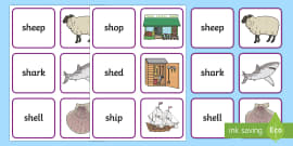 zz, qu, ch, sh, th, ng Sorting Sounds PowerPoint Game