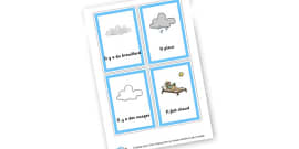 French Weather Poster (teacher made) - Twinkl