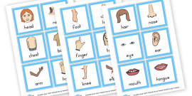 pictionary body parts