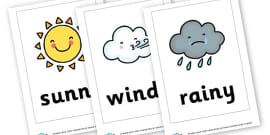 Weather Fine Motor Skill Activity Booklet (Teacher-Made)