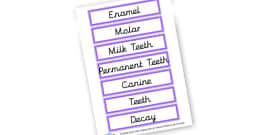Teeth Labelling Worksheet - teeth, ourselves, my body, labels