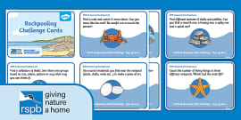 What is a Rockpool? - Twinkl