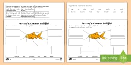 Animal Body Parts Flashcards (Hecho por educadores)