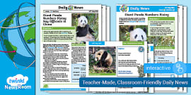 Panda Reading Comprehension Worksheets (teacher made)