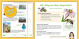 ESL May Teens Reading Comprehension Pack (teacher made)