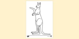 Boomerang Colouring | Colouring Sheet (teacher made)