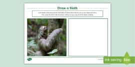 Parts of a Sloth Labelling Worksheet (teacher made) - Twinkl