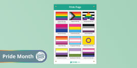 Pride Display: Flags Bunting Pack | Pride Month | Beyond RSE