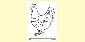 Chicken Writing Template (teacher made) - Twinkl