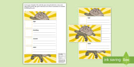 Label the Tortoise Worksheet / Worksheet (teacher made)