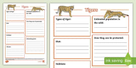 Tiger Fact File and Quiz (l'enseignant a fait) - Twinkl