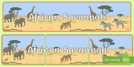 FREE! - African Savannah Display Banner (teacher made)