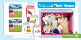 EYFS Top Ten Pets Resource Pack (teacher made) - Twinkl