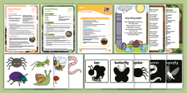 Minibeast Research Map Worksheet - Primary Resource - Twinkl