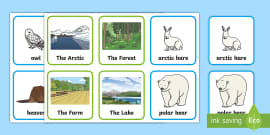 Animal Habitats Matching Cards (teacher made) - Twinkl