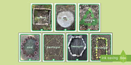 👉 Nature-Themed 2D Shape Display Posters (teacher made)