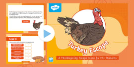 Thanksgiving Word Search Puzzle | ESL | Twinkl - Twinkl