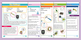 Science Week Experiment Activity Pack (Teacher-Made)