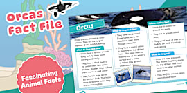 KS1 Octopus Fact File - Twinkl