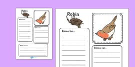 Robin Life Cycle PowerPoint (teacher made)