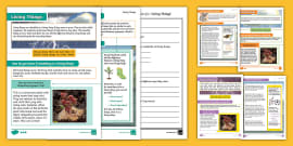 Living and Nonliving Things Worksheets | Twinkl