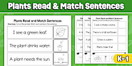Spring Read and Match Sentences Cut and Paste Worksheets
