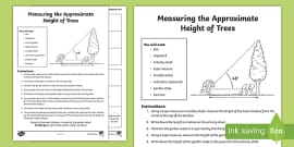 FREE! - Measuring Tree Height Colouring Sheet | Colouring Sheets