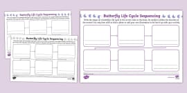 Bee Life Stages Sequencing Mind Map (teacher made) - Twinkl