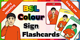 BSL Fruit Flashcards