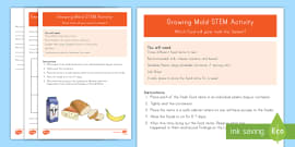 Flying Fox STEM Activity (Teacher-Made)