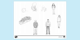 Menstrual Cycle Colouring | Colouring Sheets (Teacher-Made)