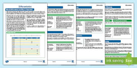 Teacher Differentiation Planner (teacher made) - Twinkl