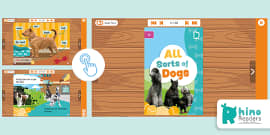 Level 2c Reading Scheme Book: Lots of Fun | Rhino Readers