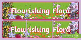 Australian Native Flora Door Display