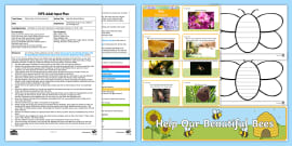 All About Bees Resource Pack KS1 (teacher made)
