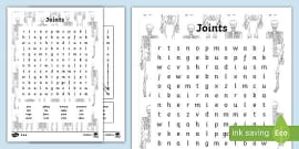 KS2 Types of Joints Matching Activity